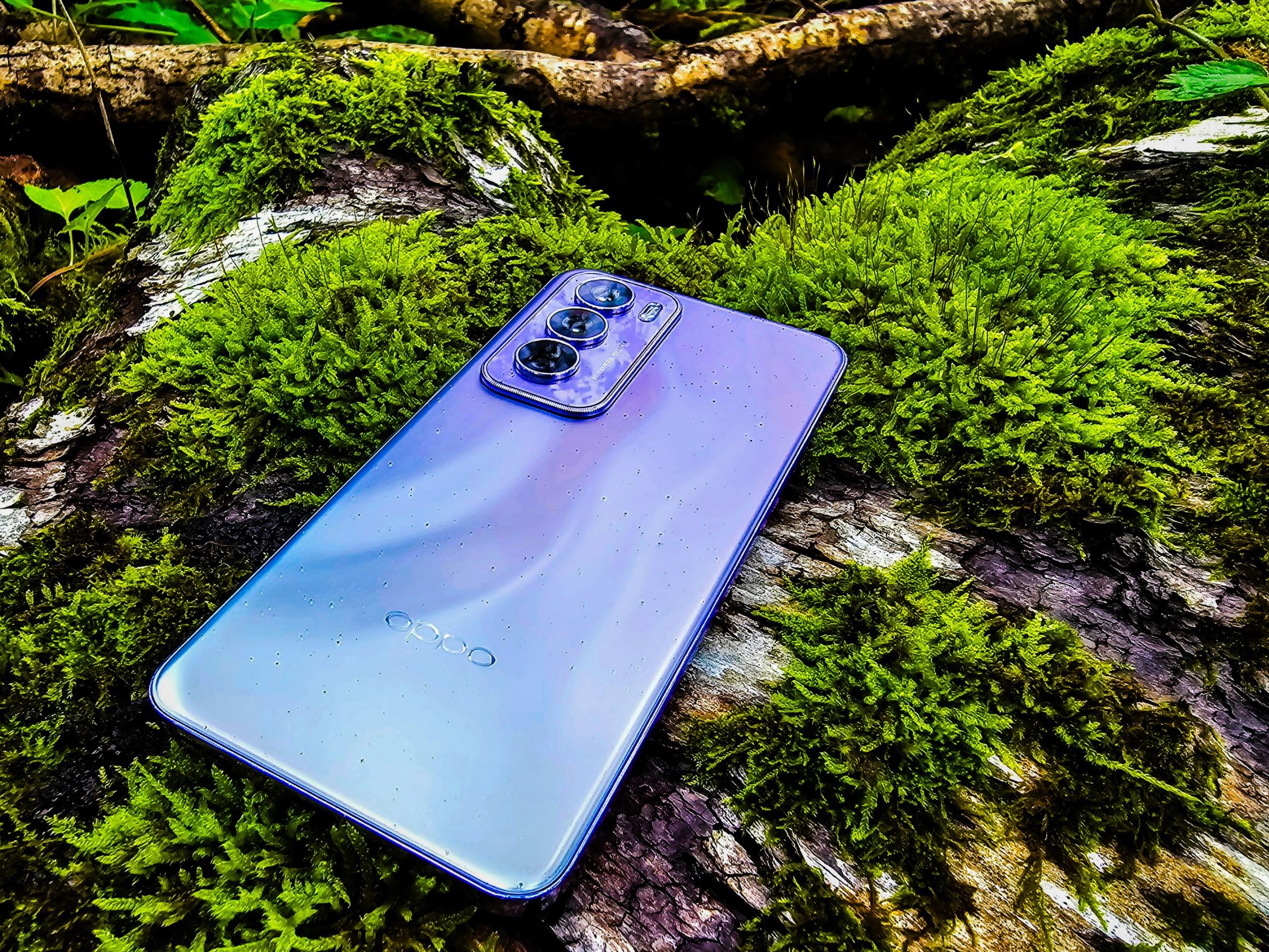 Oppo Reno12 Pro 智能手机评测：轻盈纤薄的回归 - Notebookcheck CN