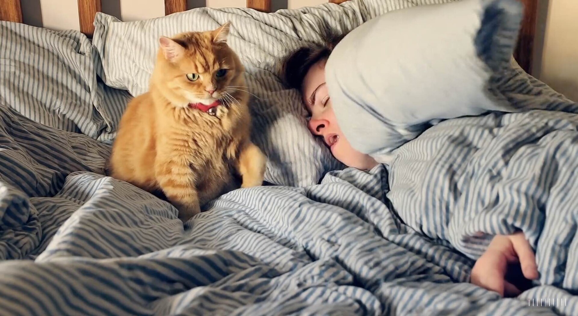 OpenAI 推出可根据文字提示生成逼真视频的人工智能模型 Sora - Notebookcheck-cn.com News