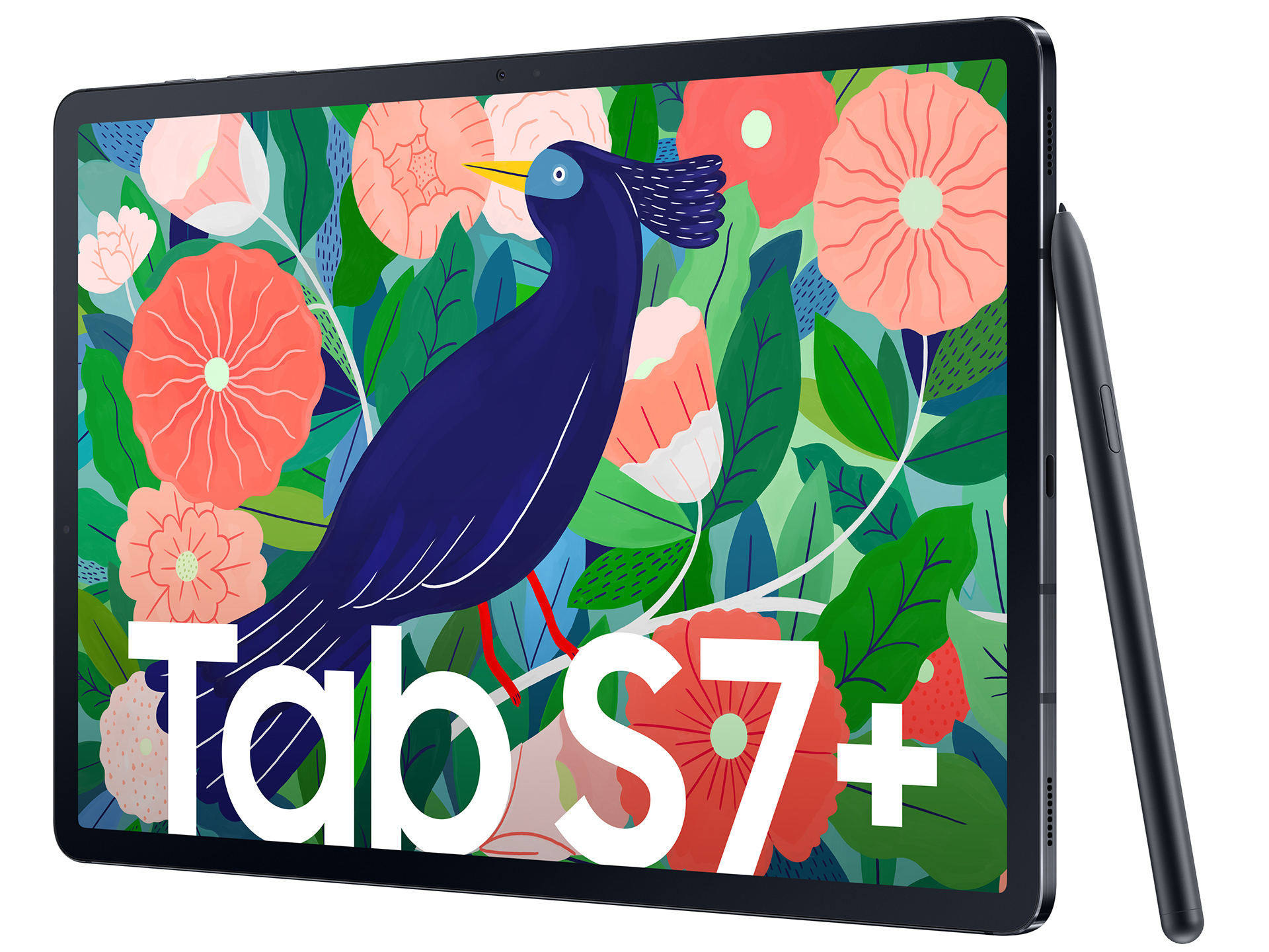 Samsung Galaxy Tab S7 Plus - Notebookcheck